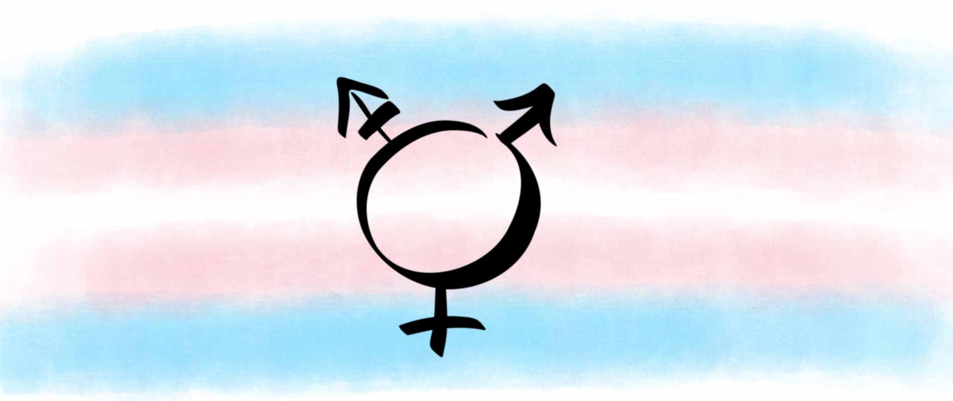 Trans:Gender, Transidentität: Praxis für Personzentrierte ...